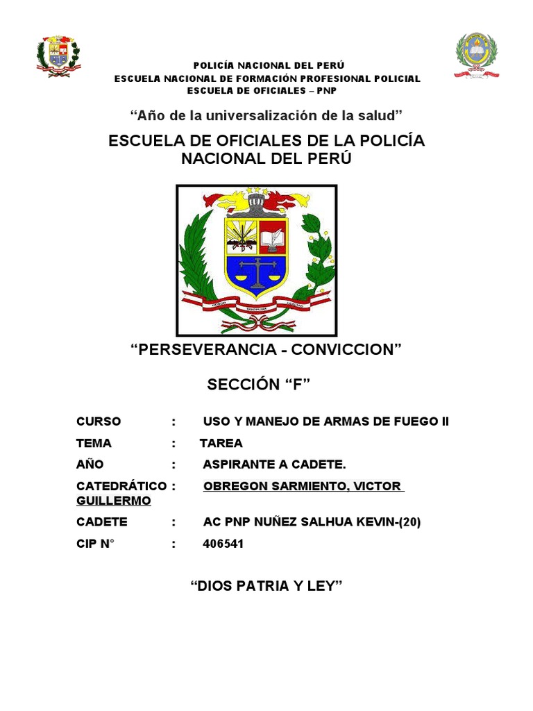 Tarea-Uso y Manejo de Armas de Fuego - Ac PNP Nuñez Salhua K. | PDF