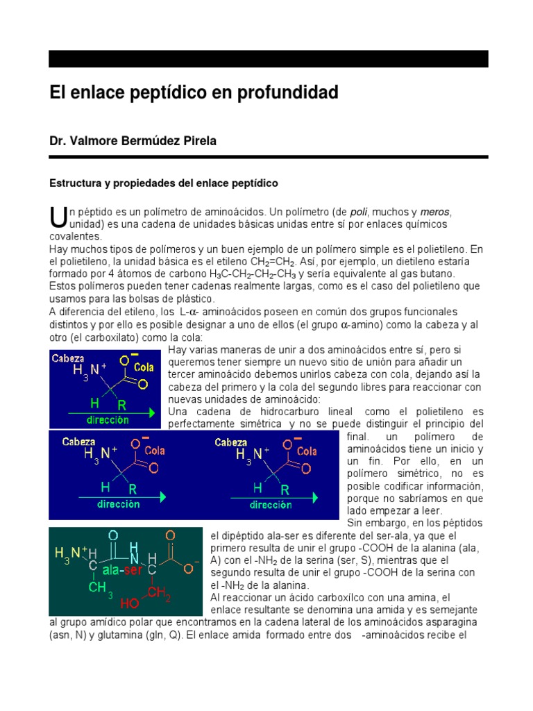 Enlace Peptidico | PDF | Péptido | Polaridad química