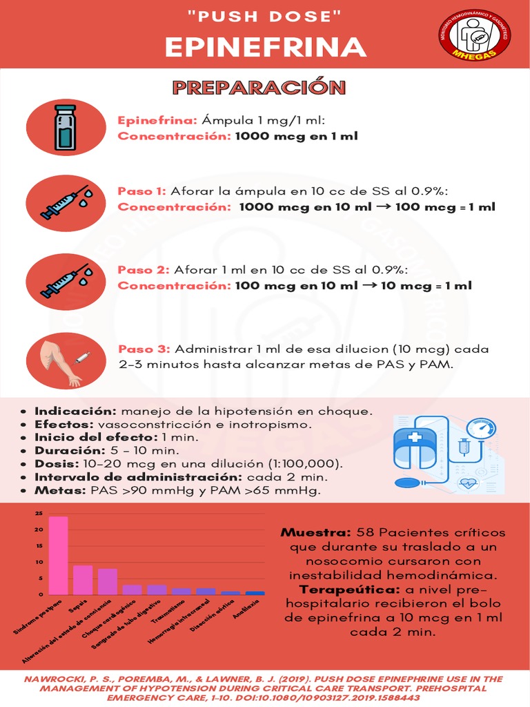 28 Epinefrina | PDF | Especialidades Medicas