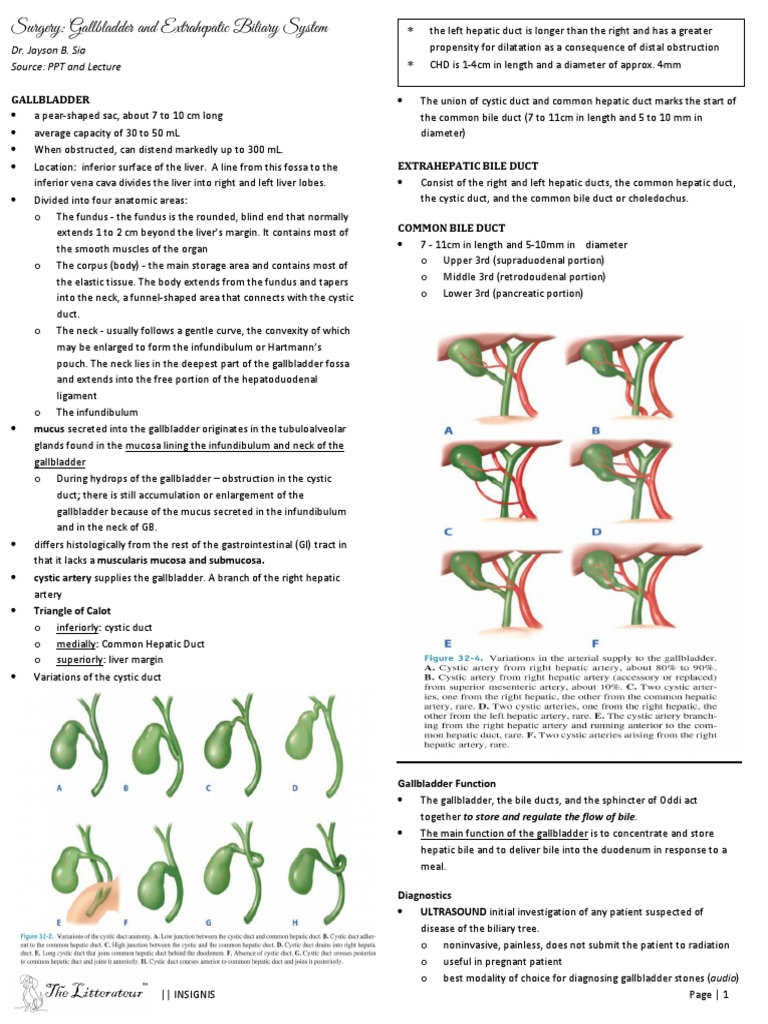 Gallbladder and Biliary System Overview | PDF | Gallbladder | Bile