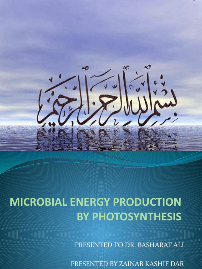 Microbial Energy Production by Photosynthesis | PDF | Photosynthesis ...