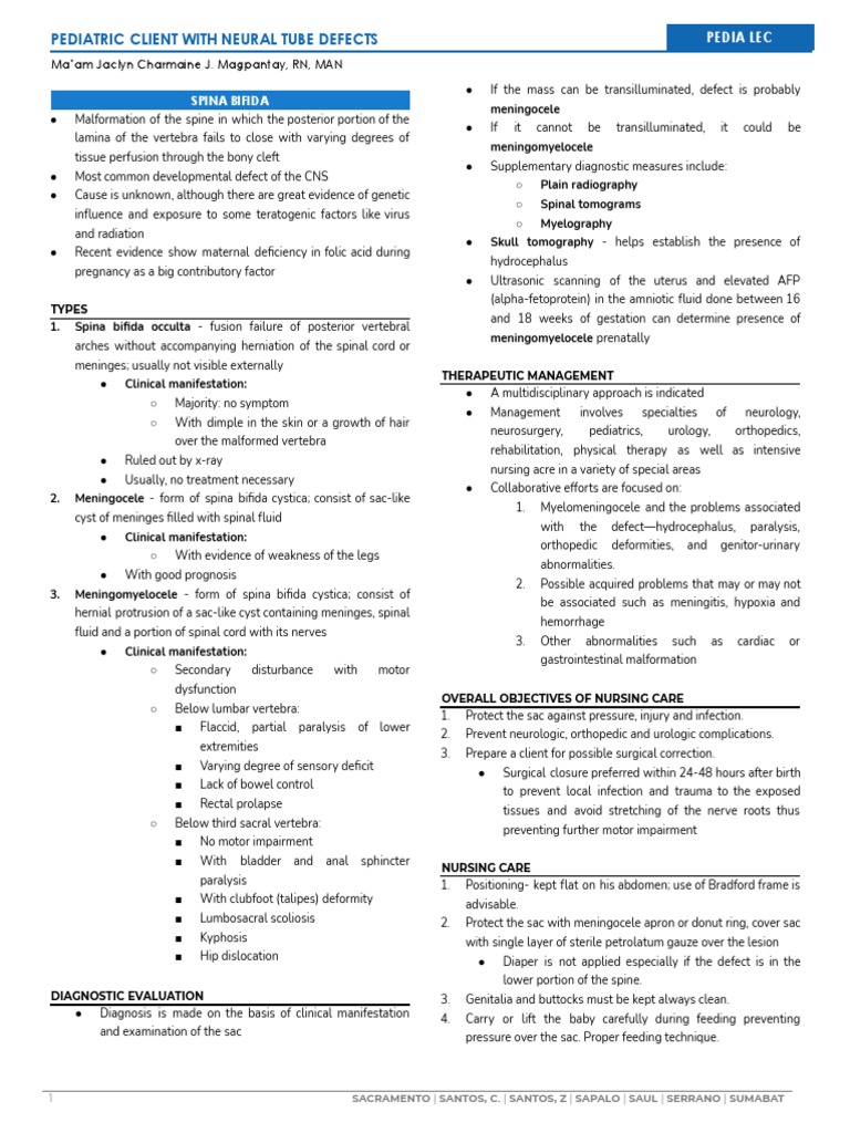 Neural Tube Defects | PDF | Vertebral Column | Cerebrospinal Fluid