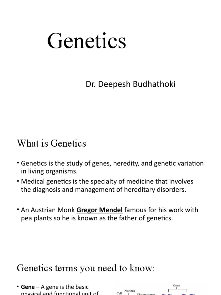 Genetics1 Mbbs | PDF | Dominance (Genetics) | Zygosity