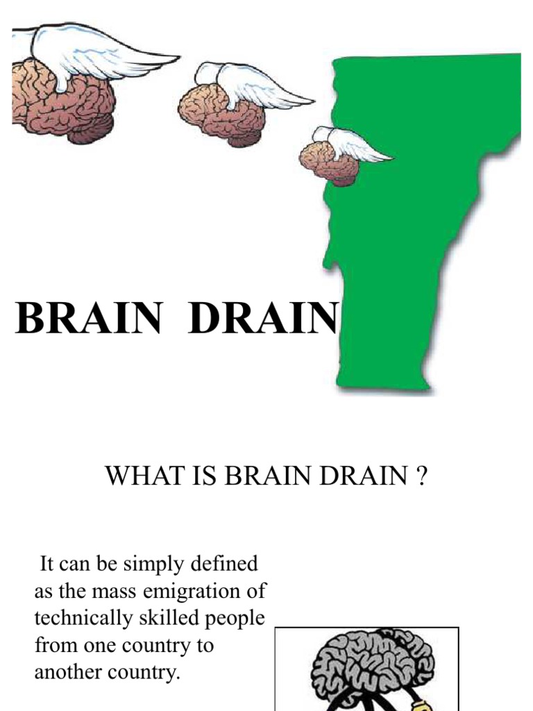 Brain Drain | PDF