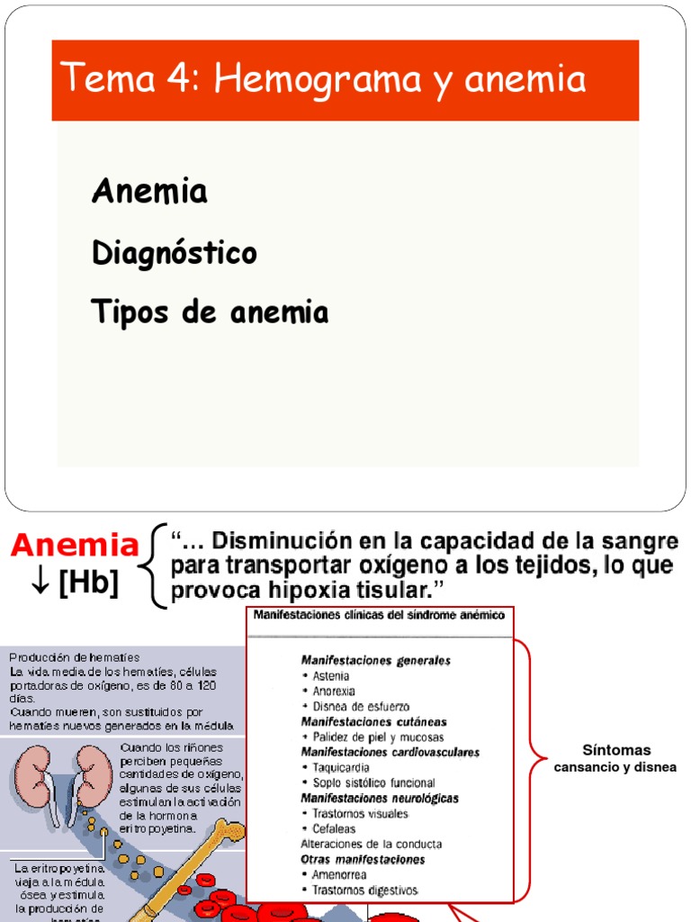 Tema 4-3 | PDF | Anemia | Glóbulo rojo