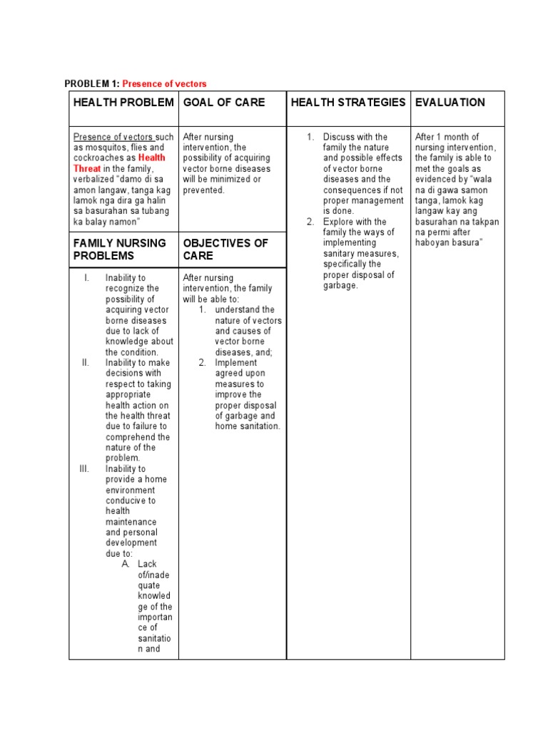 FAMILY CARE PLAN | PDF | Obesity | Nursing