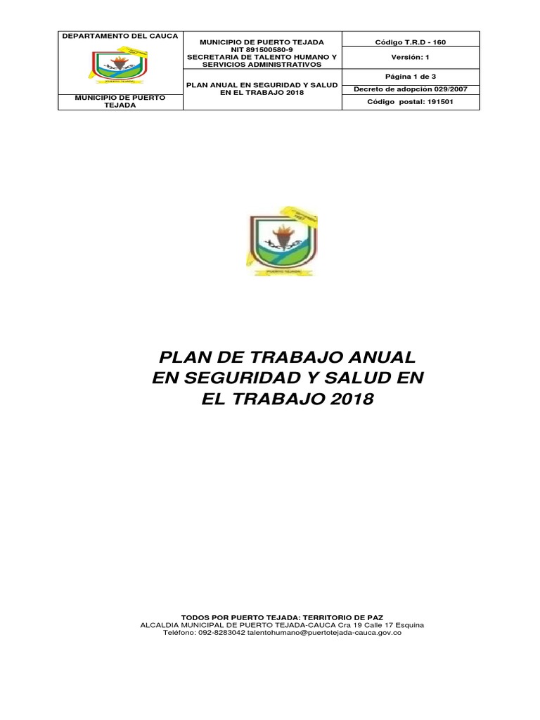 Plan de Trabajo Anual en Seguridad y Salud en El Trabajo. | PDF | Riesgo | Ciencias de la Salud