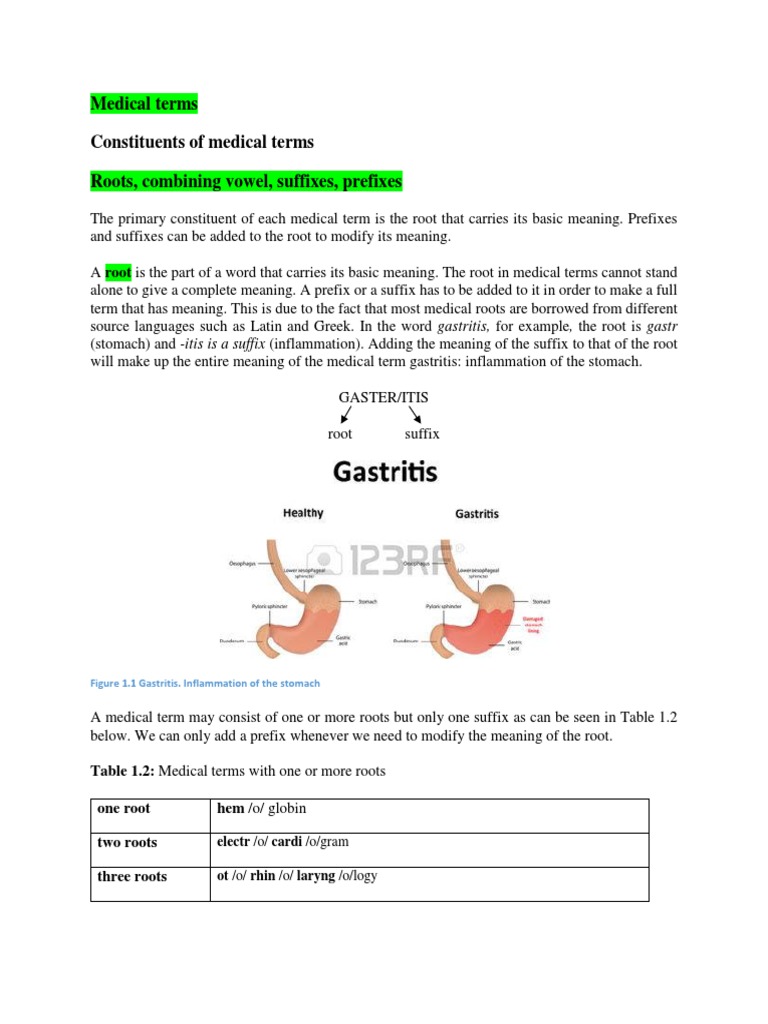 Body Parts | PDF | Human Anatomy | Medical Specialties