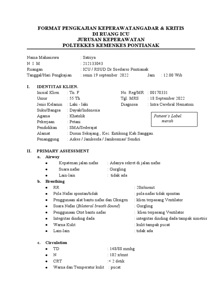 Pengkajian Keperawatan ICU Pasien ICH | PDF