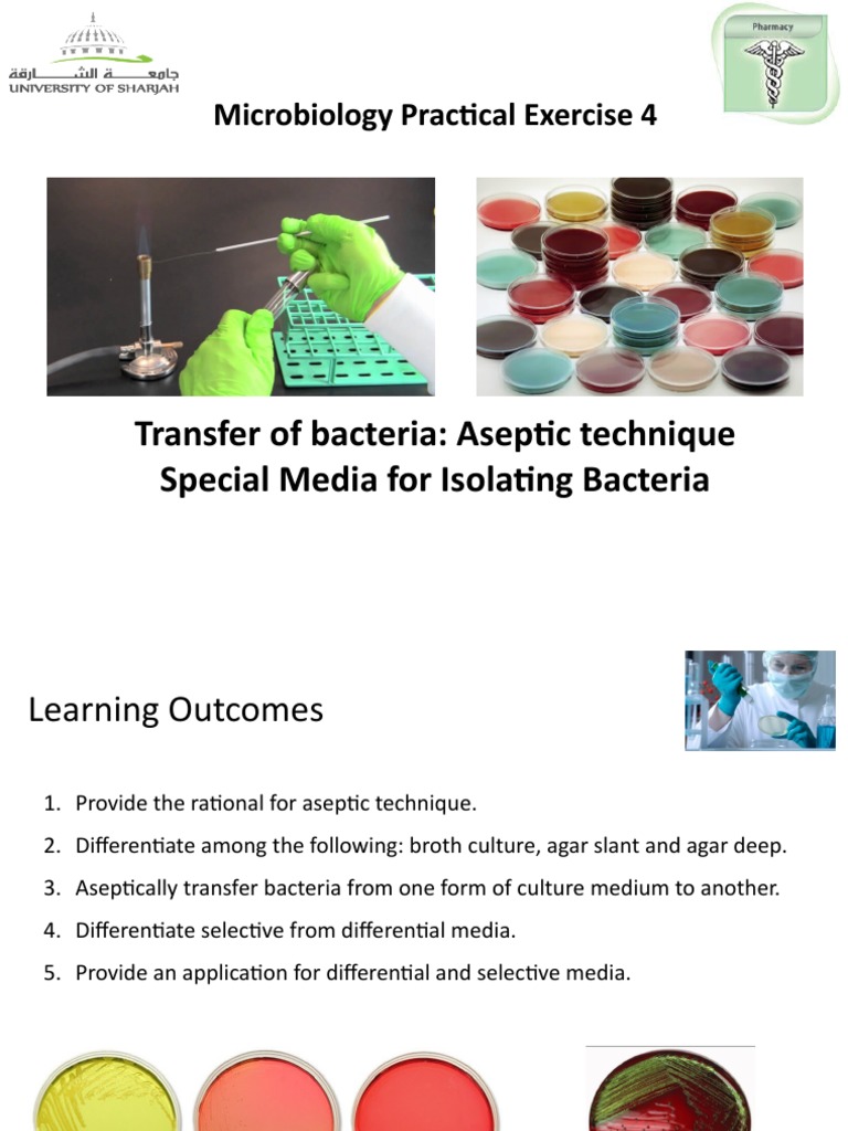 Microbiology Practical: Isolating Bacteria Using Differential and Selective Media | PDF | Growth ...