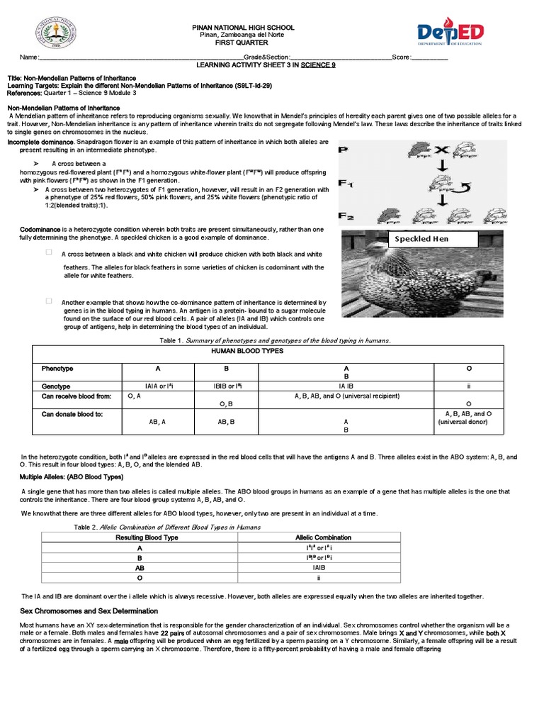 Science 9 Week 3 and 4 | PDF | Dominance (Genetics) | Allele