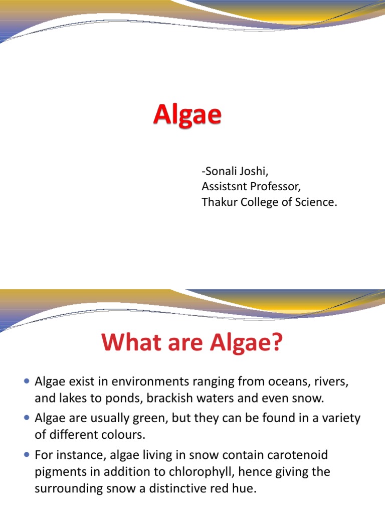 Algae | PDF | Algae | Cyanobacteria