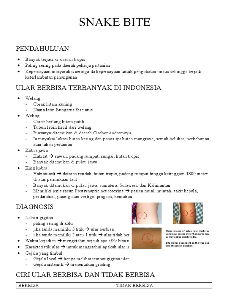 Snake Bite | PDF