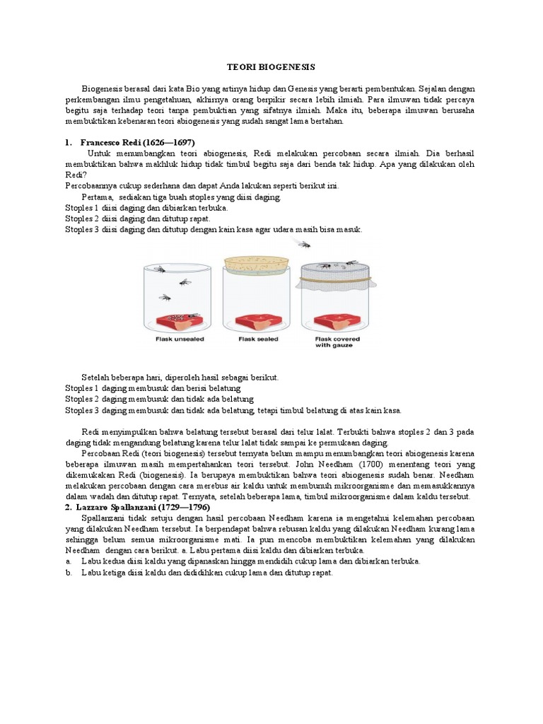 Teori Biogenesis | PDF