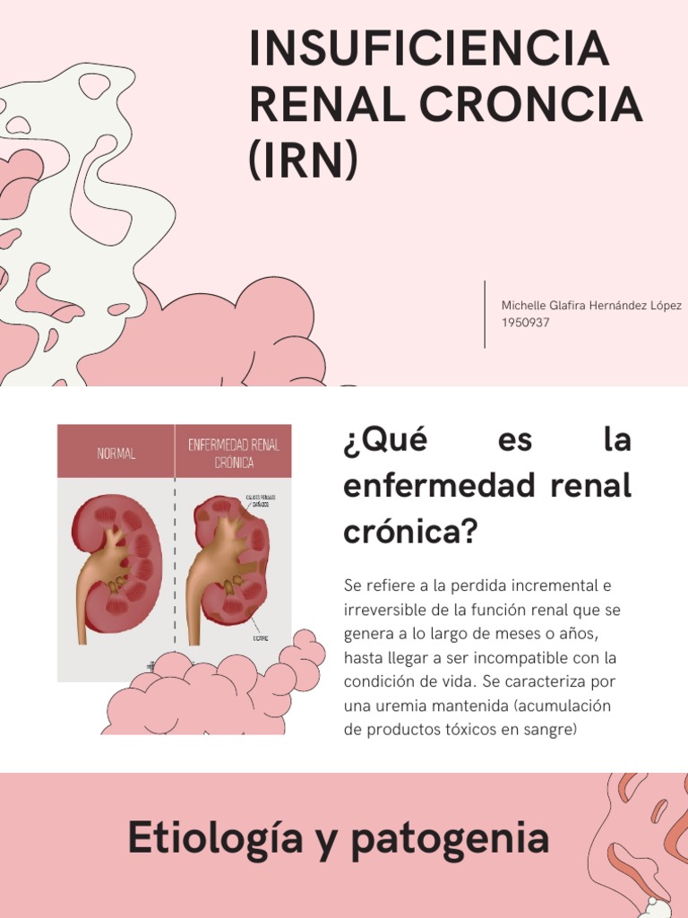 Insuficiencia Renal Cronica | PDF | Enfermedad renal crónica | Enfermedades y trastornos