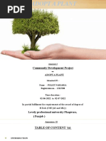 UU200 Group Report | PDF | Mangrove | Coral Reef