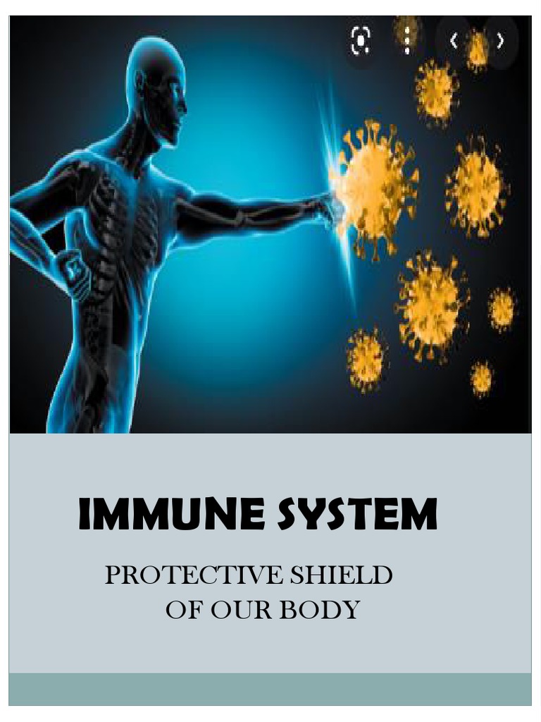 Biology Project (Topic - Immune System) | PDF | Immune System | Lymphocyte