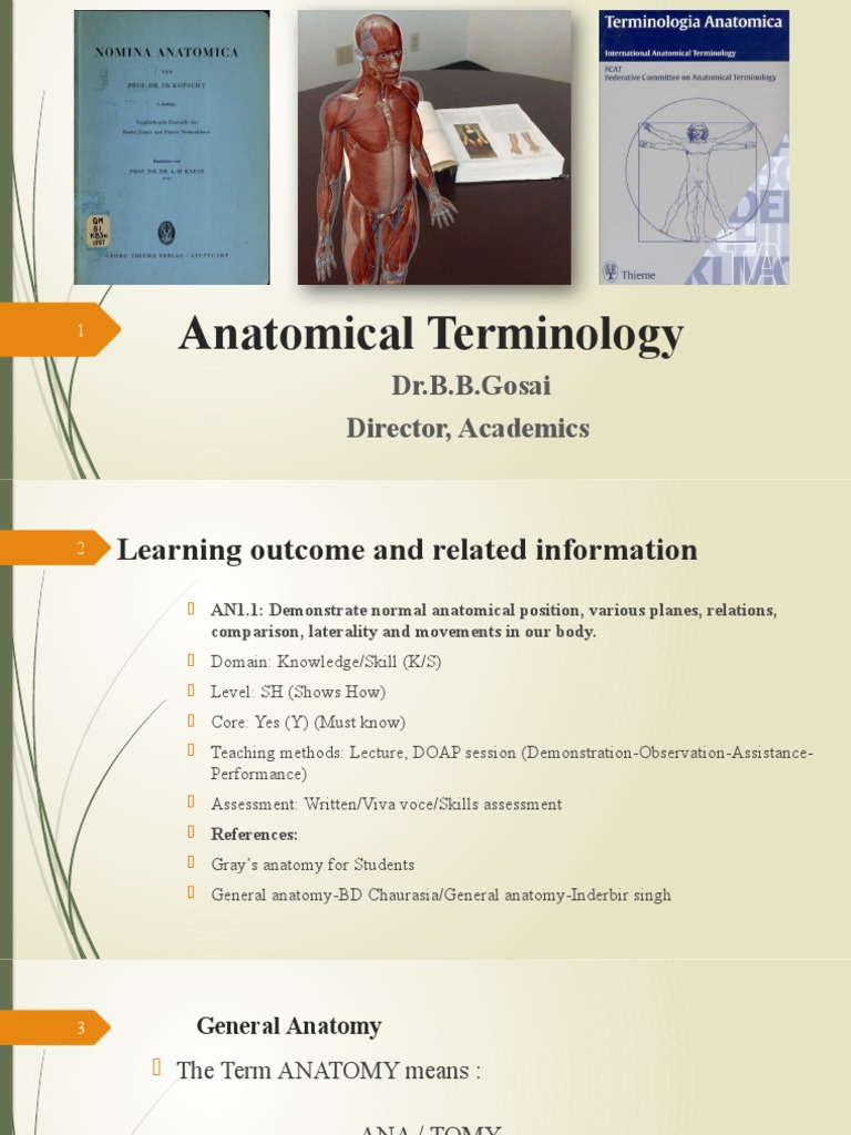 Comprehensive Guide to Anatomical Terminology | PDF | Anatomical Terms ...