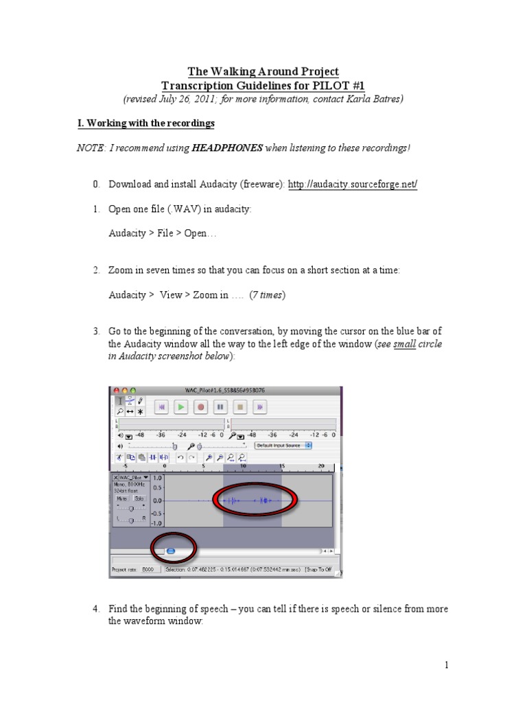 Transcription Guidelines | PDF