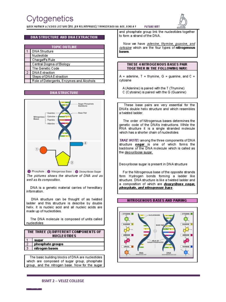 Lesson 2 Dna Structure and Dna Extraction | PDF | Genetic Code | Rna
