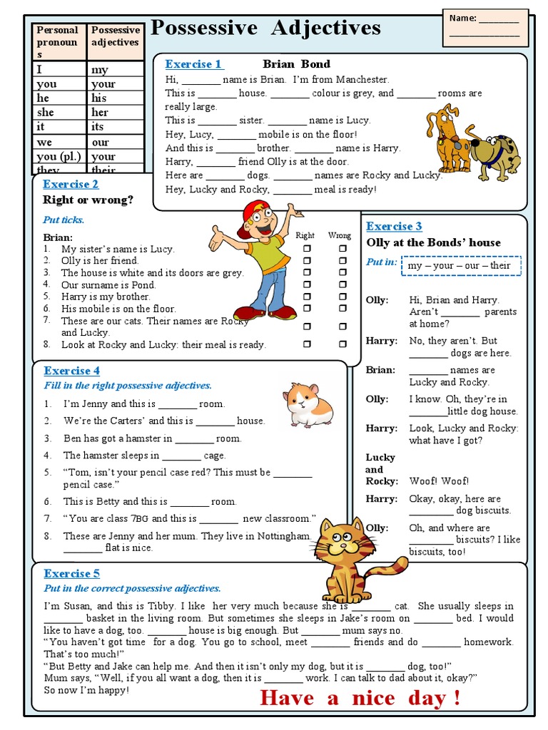 Possessive Adjectives Grammar Drills - 140667 | PDF | Language ...