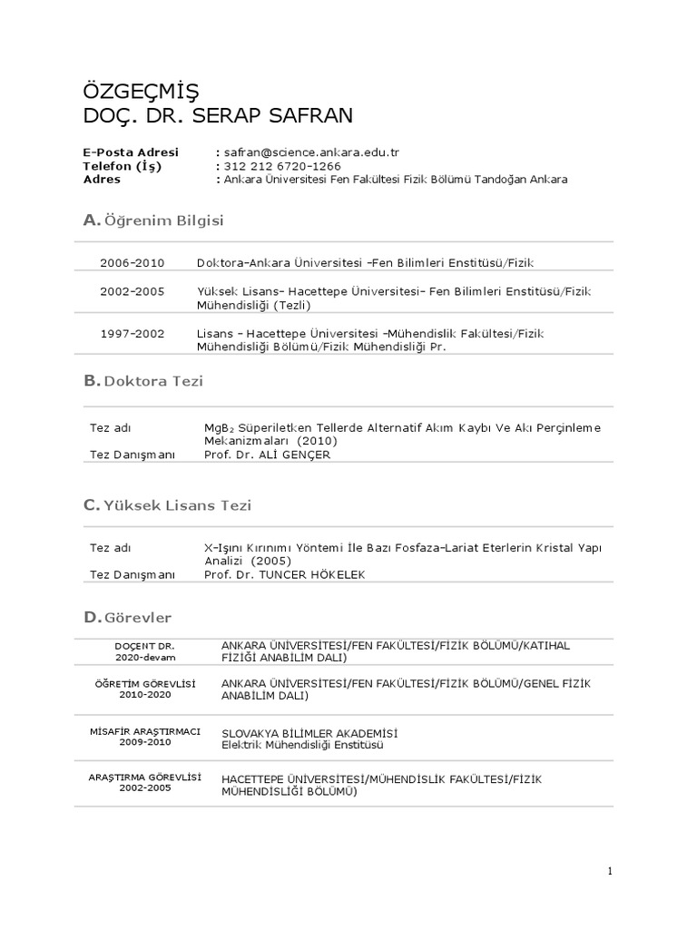 DR Serap Safran CV | PDF