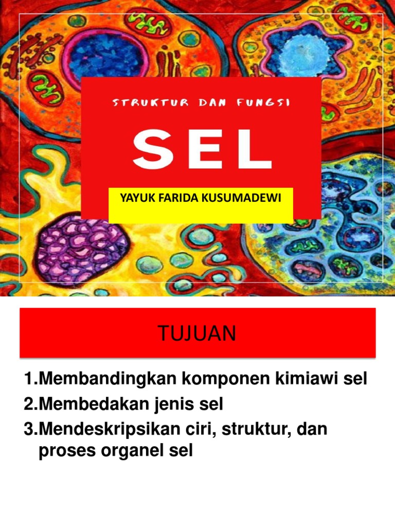 Ibd Materi Uts | PDF