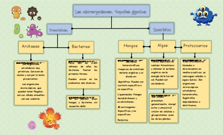 Bacterias y Virus | PDF | Protozoos | Hongo