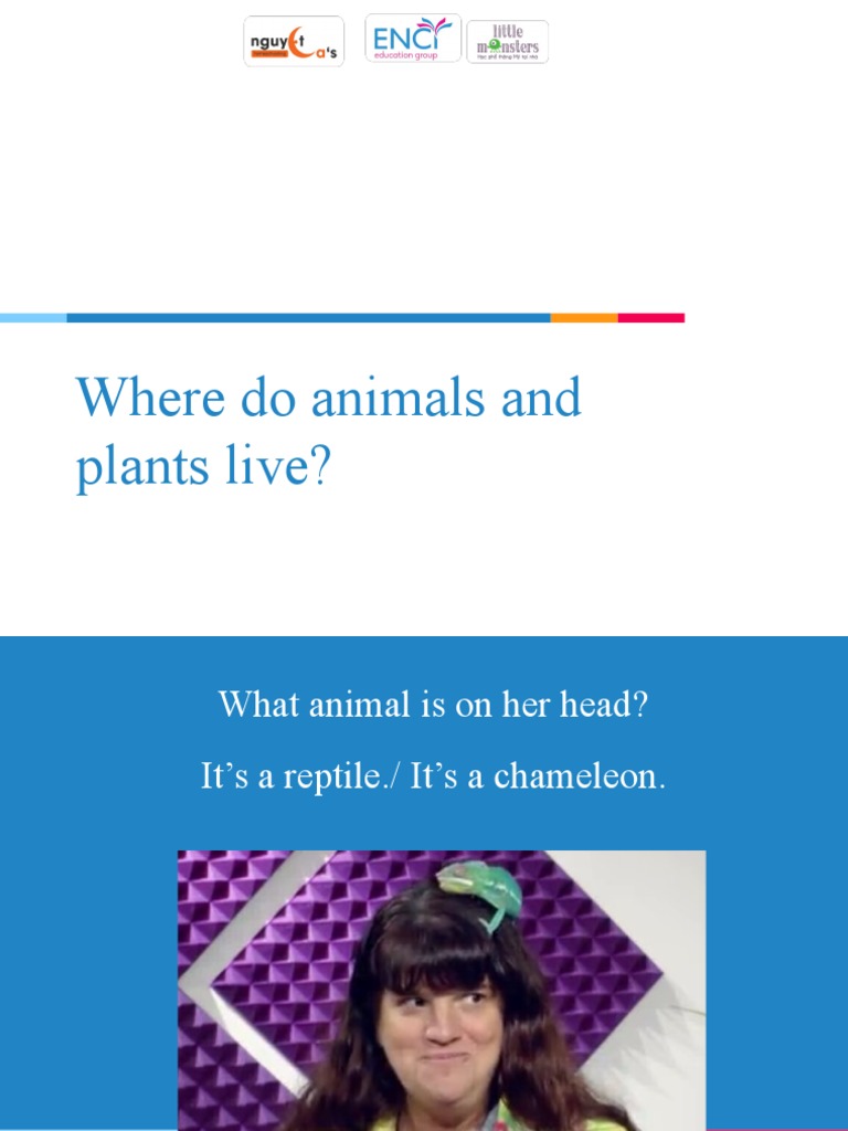 LMGK - Sc.Lesson25 (U2) .Where Do Animals and Plants Live | PDF ...