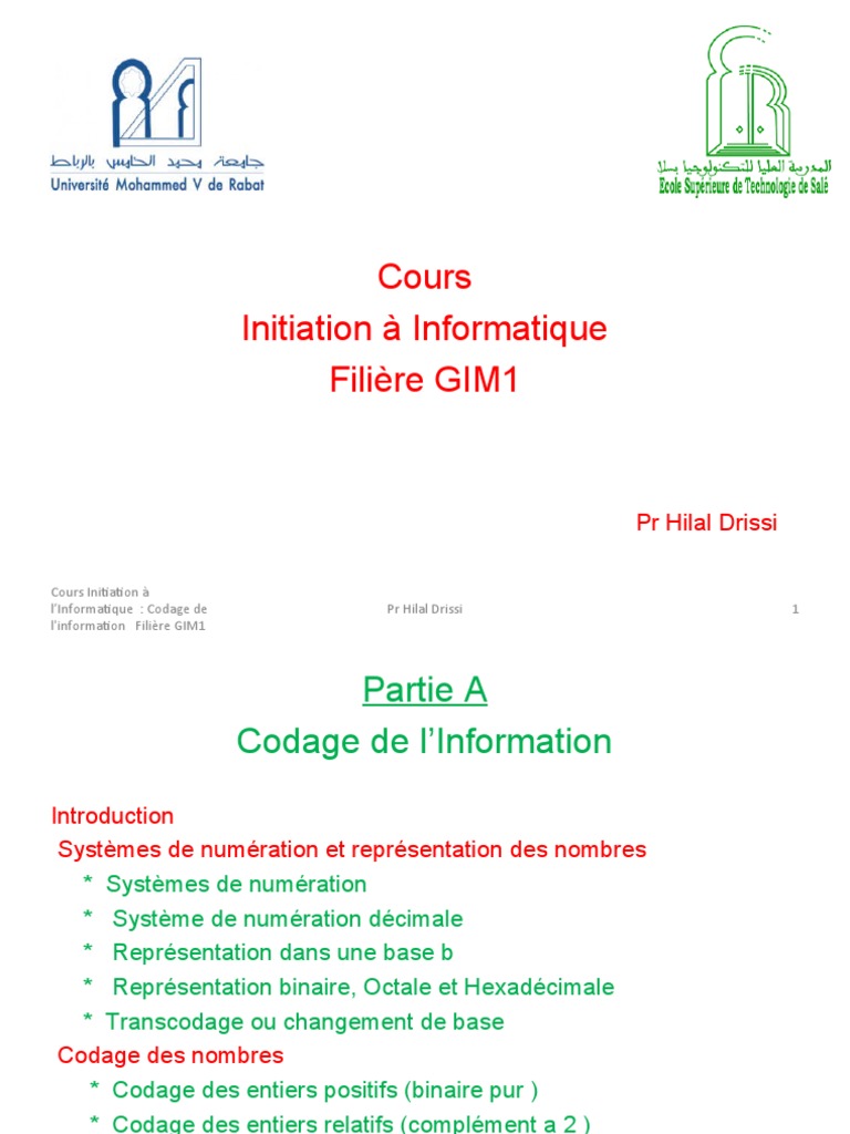 Codage de l'Information en Informatique | PDF | Bit | Ingénierie informatique