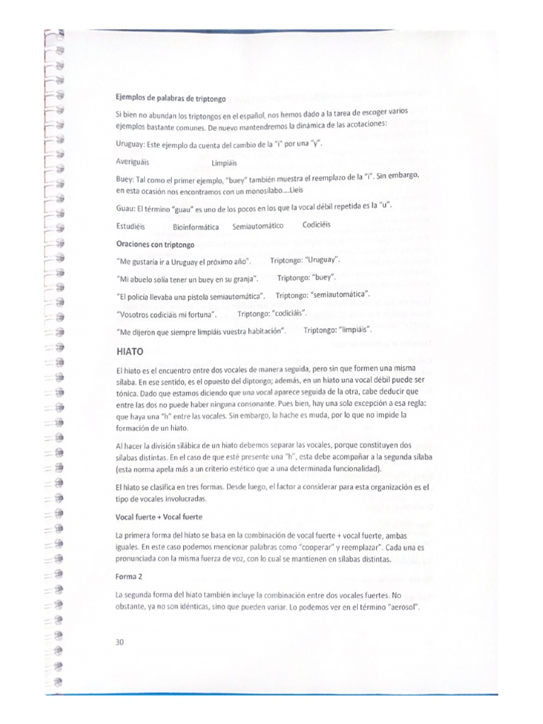 Ejemplos Del Triptongo | PDF