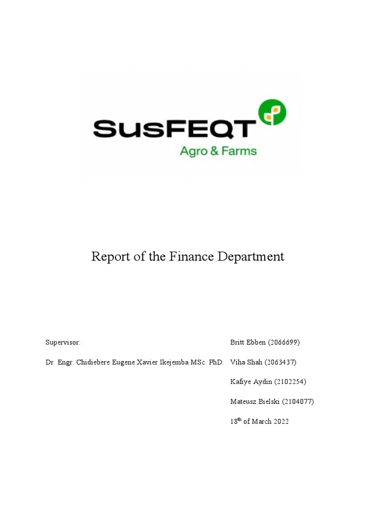 Finance Department Report | PDF | Working Capital | Debt