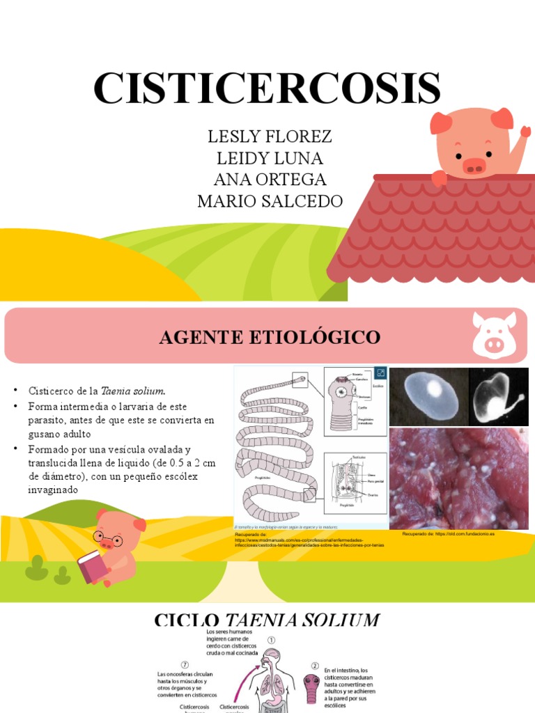 Cisticercosis | PDF | Medicina | Especialidades Medicas