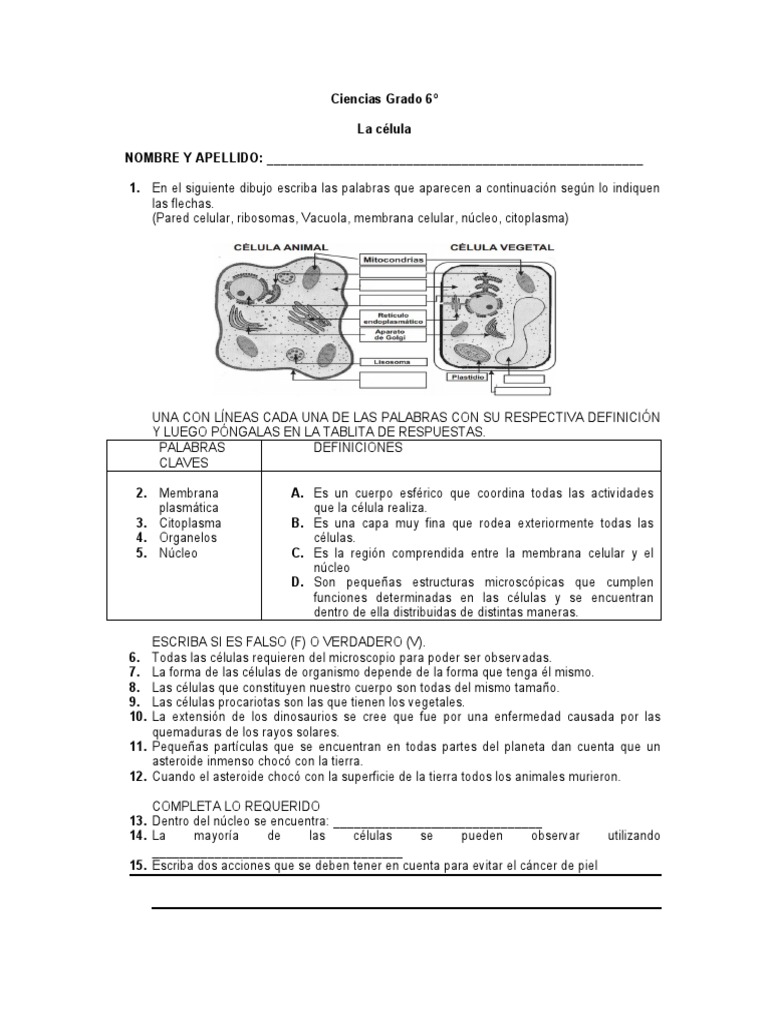 Examen de La Célula | PDF