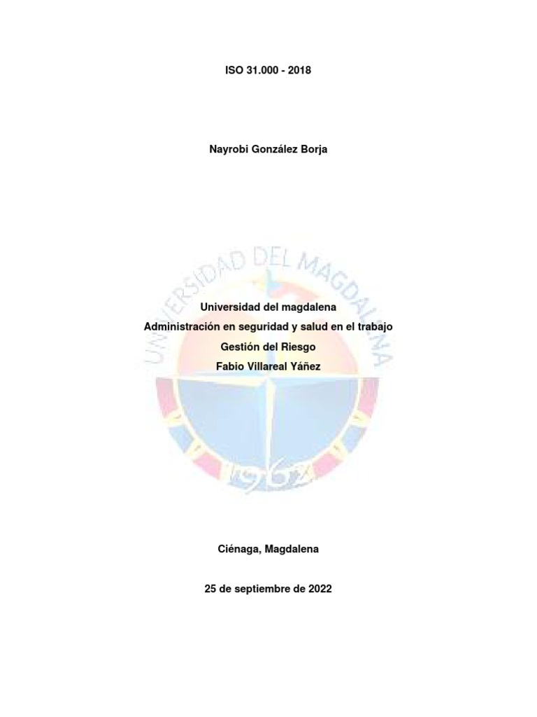 Iso 31.000 - 2018 | PDF | Riesgo | Organización internacional para la ...