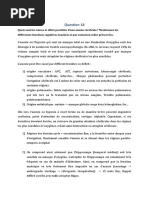 Test de Stroop Victoria : Guide d'utilisation | PDF | Attention | Vert