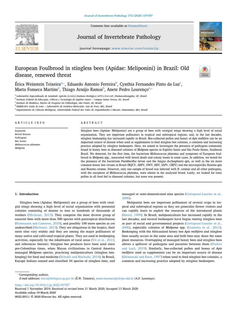 European Foulbrood in Stingless Bees (Apidae, Meliponini) in Brazil ...