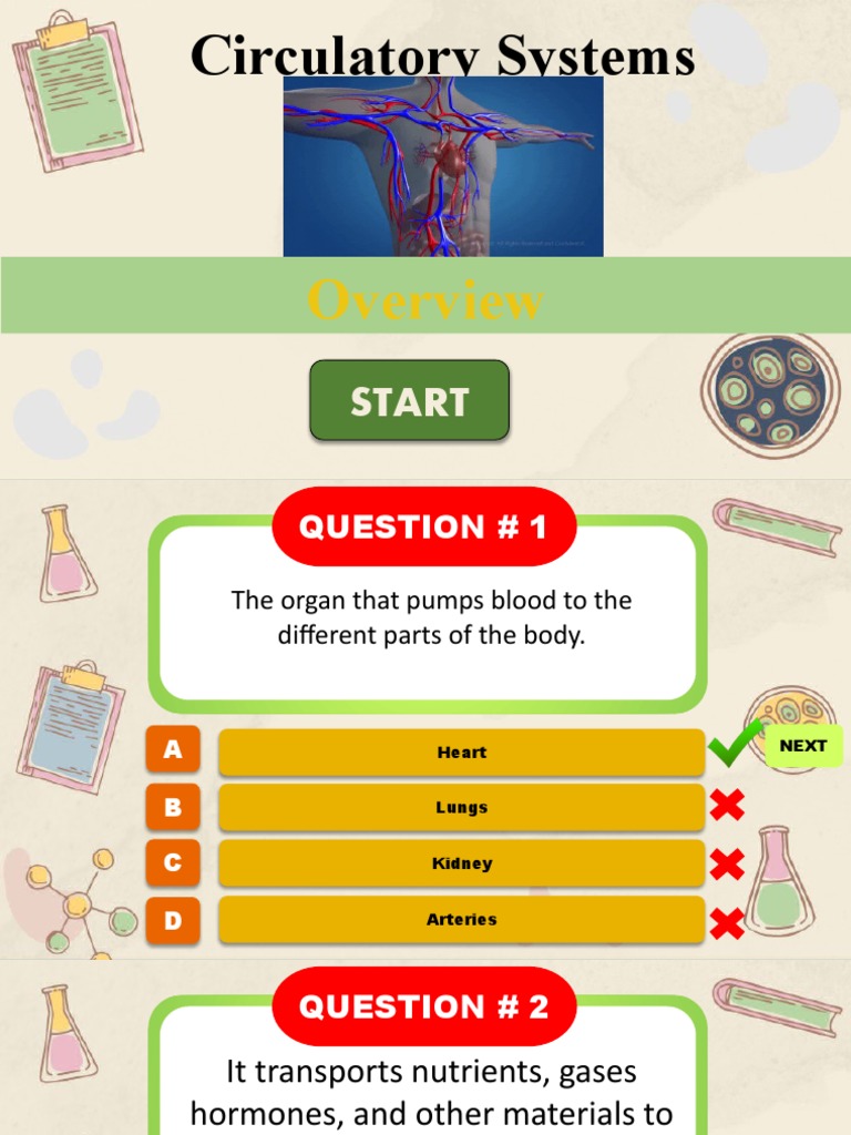 Review Notes (Circulatory System) | PDF | Blood | Heart