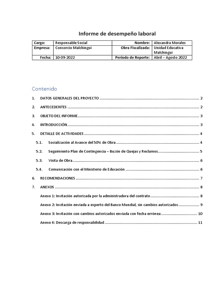 Informe de Desempeño Laboral | PDF
