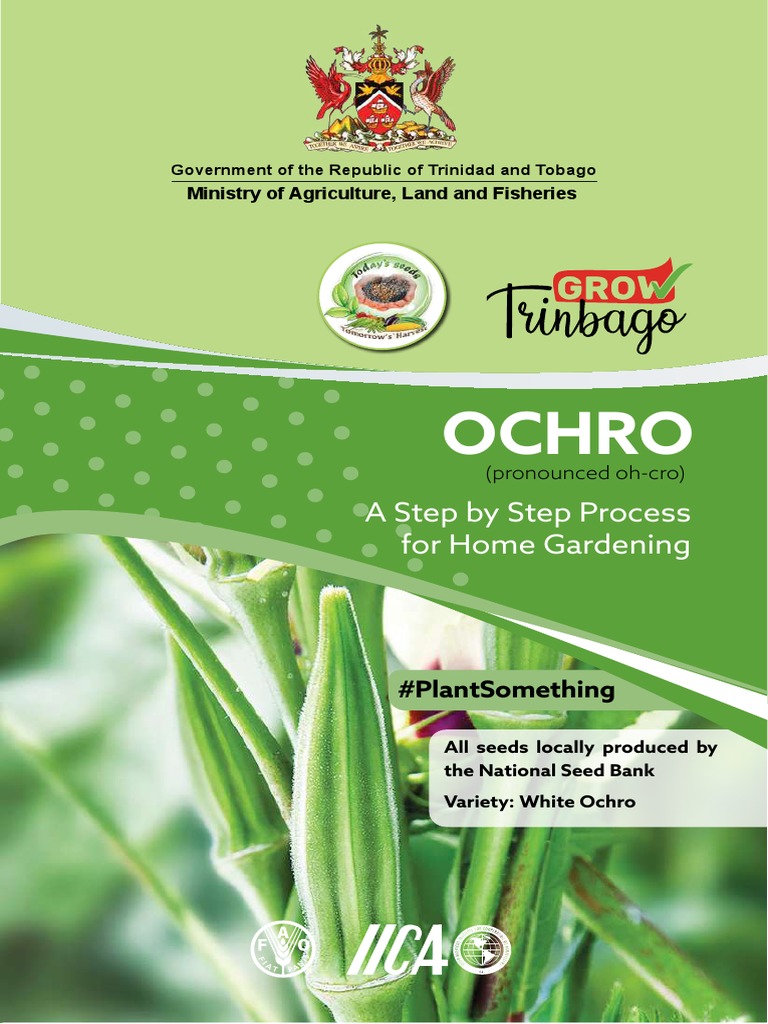 How2Grow Ochro at Home | PDF