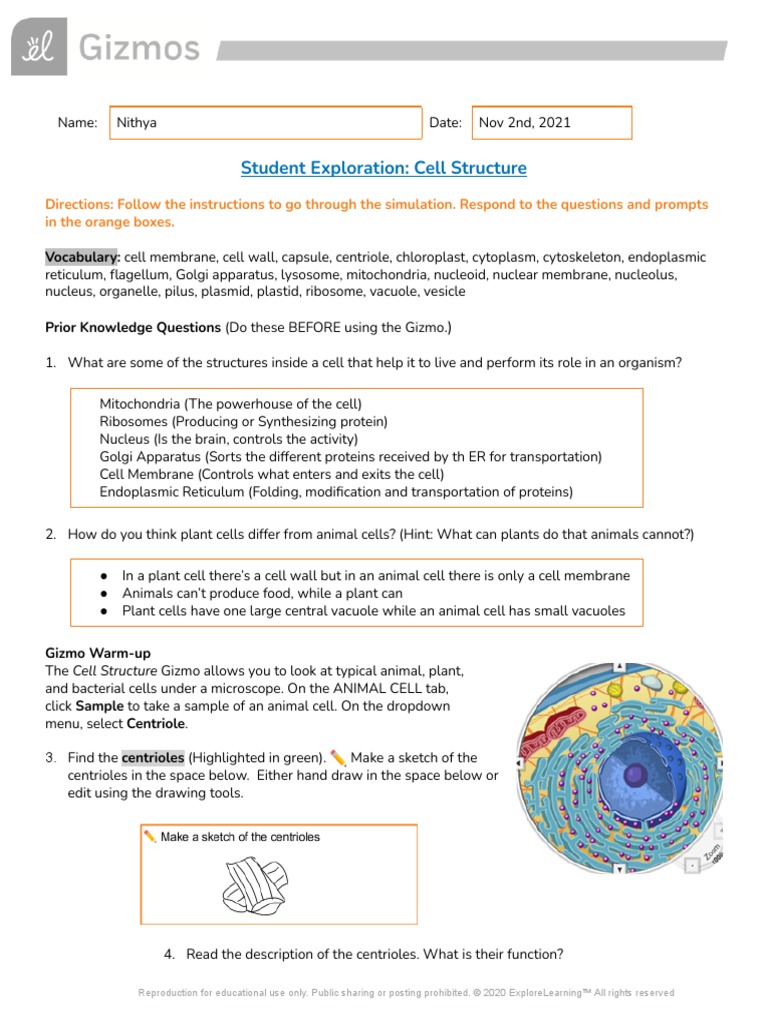 Cell Structure SE | PDF | Cell (Biology) | Eukaryotes