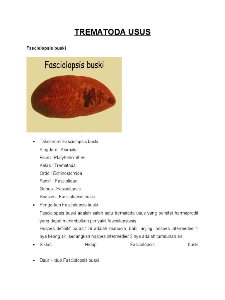 Trematoda Usus | PDF | Griya & Taman
