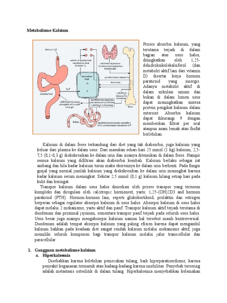 Metabolisme Kalsium dan Dampaknya | PDF