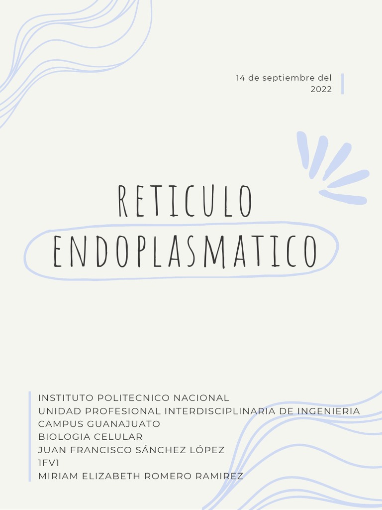 Reticulo Endoplasmatico Pdf Retículo Endoplásmico Biología Celular