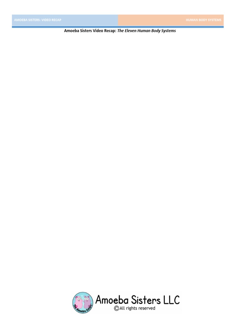 Human Body Systems | PDF | Human Body | Skeletal Muscle