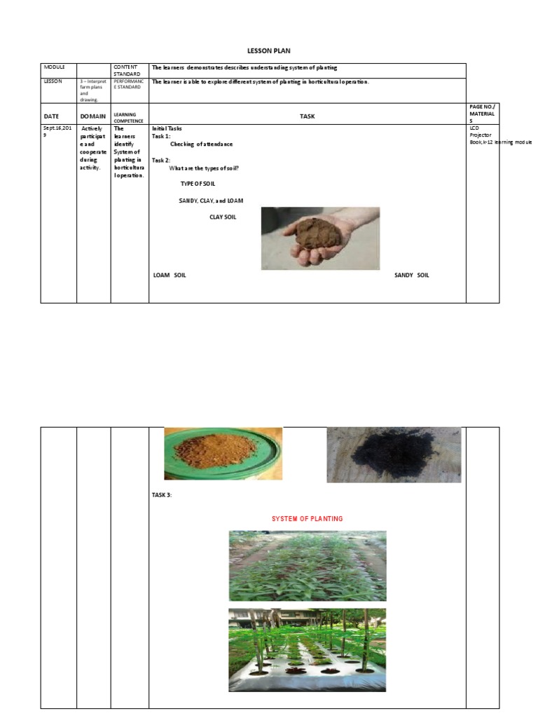 Power Point in System of Planting | PDF