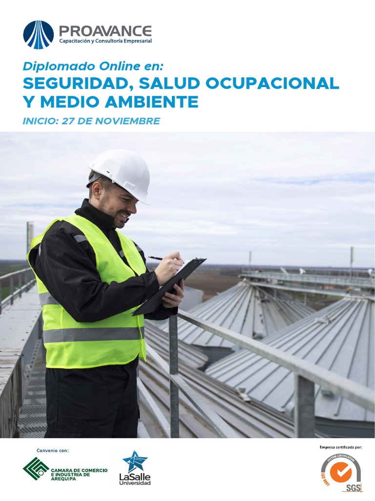 Seguridad, Salud Ocupacional y Medio Ambiente | PDF | Higiene Ocupacional | Economias