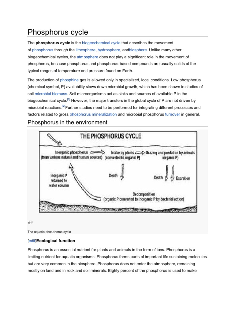 Phosphorus Cycle | Systems Ecology | Soil