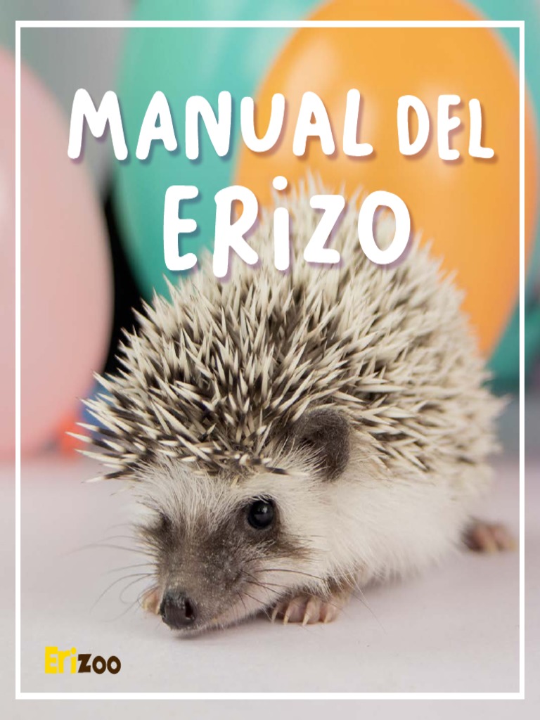 Manual Del Erizo Digital Diciembre 31 2021 | Descargar gratis PDF | Alimentos | Carne