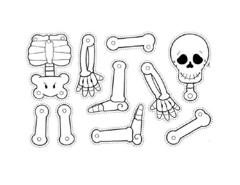 esqueleto imprimir | PDF